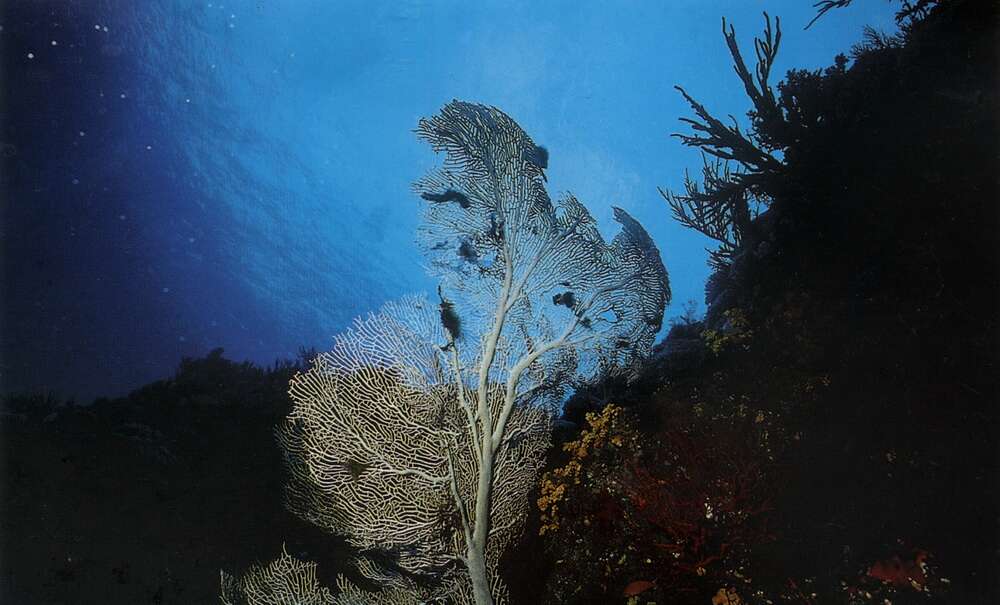 Dabaisha－East Coast National Scenic Area